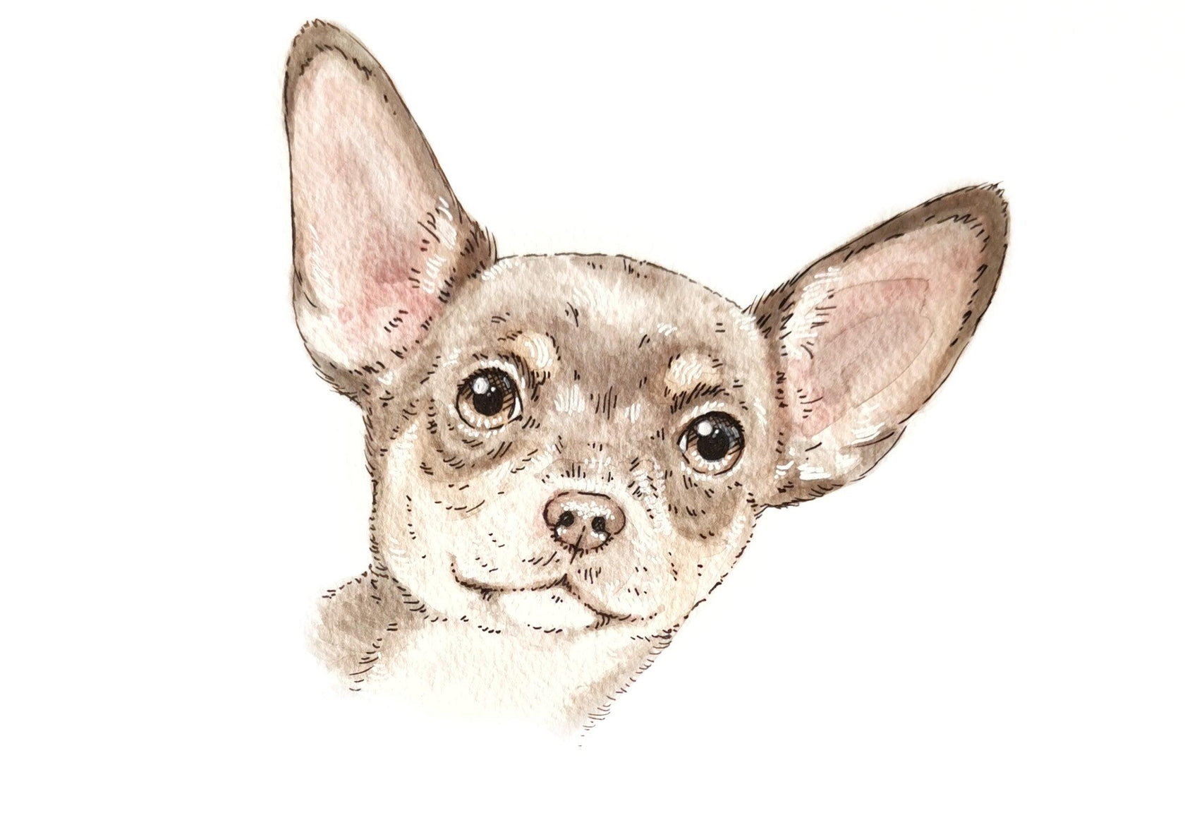 Ink and Watercolour Custom Pet Portrait – Jolly Pet Portraits